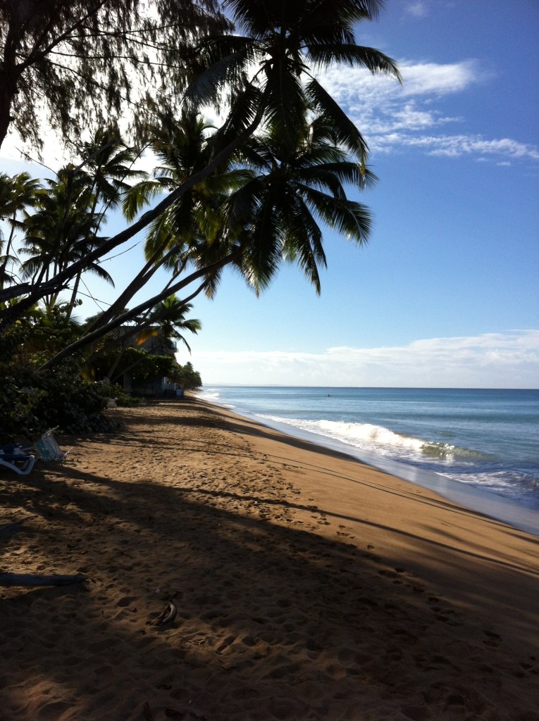 Reminiscing About The Beach. - aaronbrownellstories.com